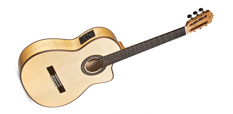 Mixdown's Guide To: Tonewoods - Mixdown Magazine