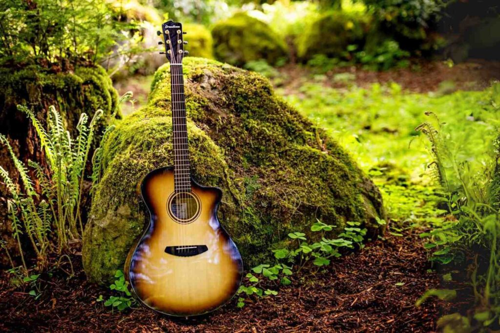 In Focus: Breedlove Artisto Pro Concert Burnt Amber
