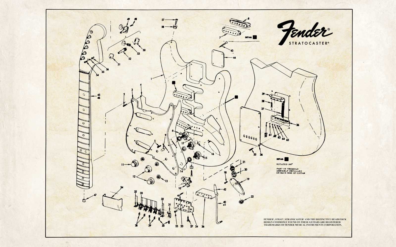 Tracing the legacy of the legendary Fender Stratocaster