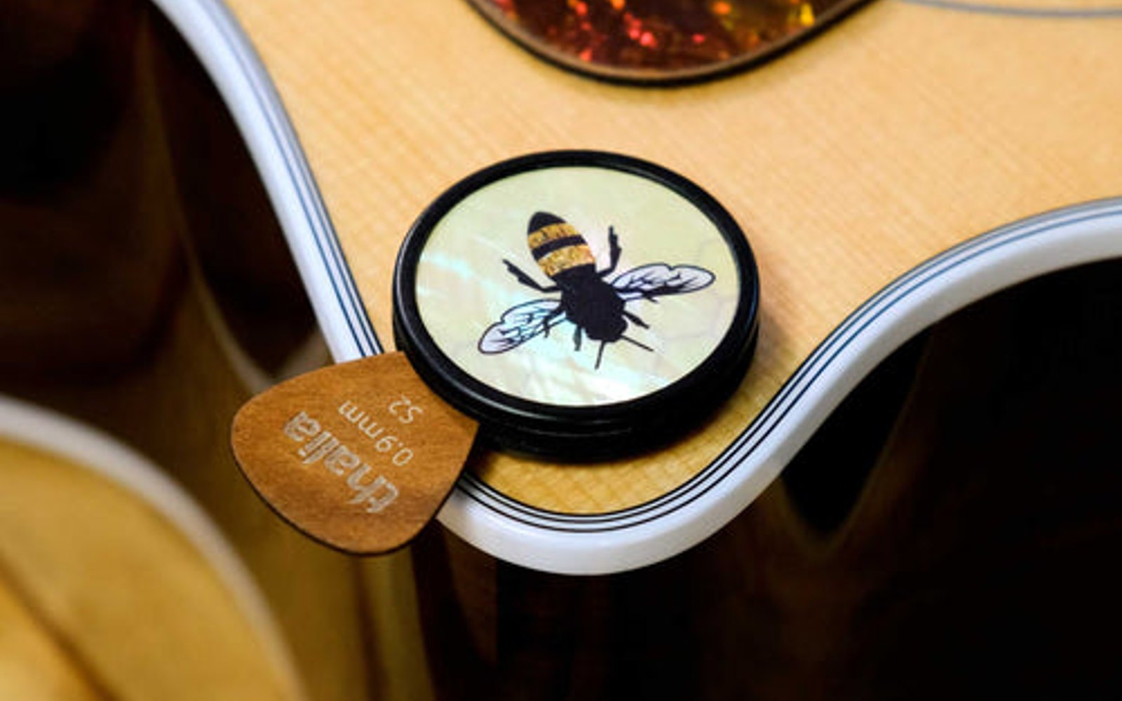 In Focus: Thalia Capos